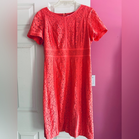 Calvin Klein | Dresses | Salmon Colored Below Knee Dress Classic Lace ...